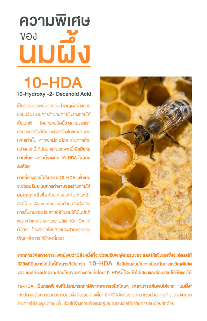 10-HDA คืออะไร มาจากไหน สำคัญอย่างไร? - royalbeeroyaljelly