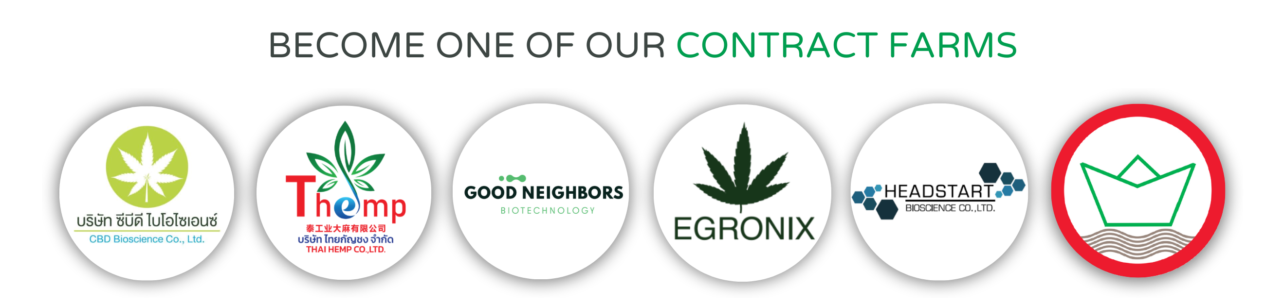 tnrbioscience | โรงงานสกัดกัญชง สารสกัดสำคัญCBD