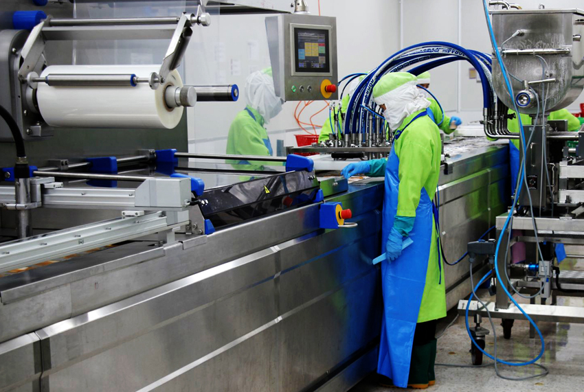 極洋グループの強み - kgsf