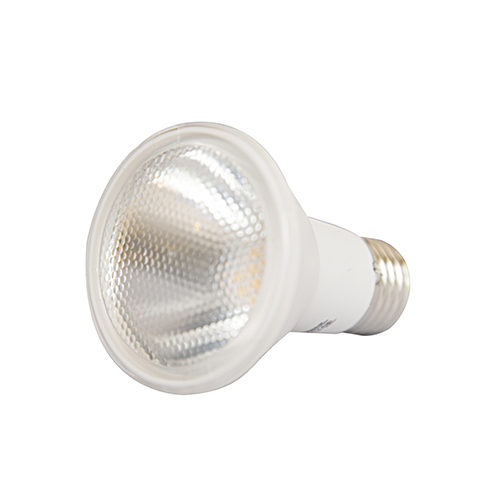 LED PAR20 6W E27 - Dentolighting