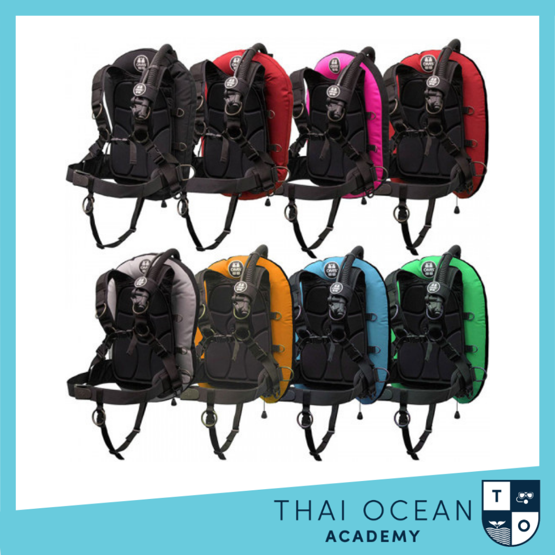 OMS IQ Lite BCD Systems | Thai Ocean Academy - thaioceanacademy