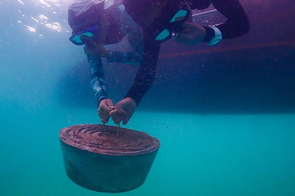 DEEP Program Information | Thai Ocean Academy - thaioceanacademy