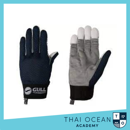 Gull Summer Gloves | Thai Ocean Academy - thaioceanacademy