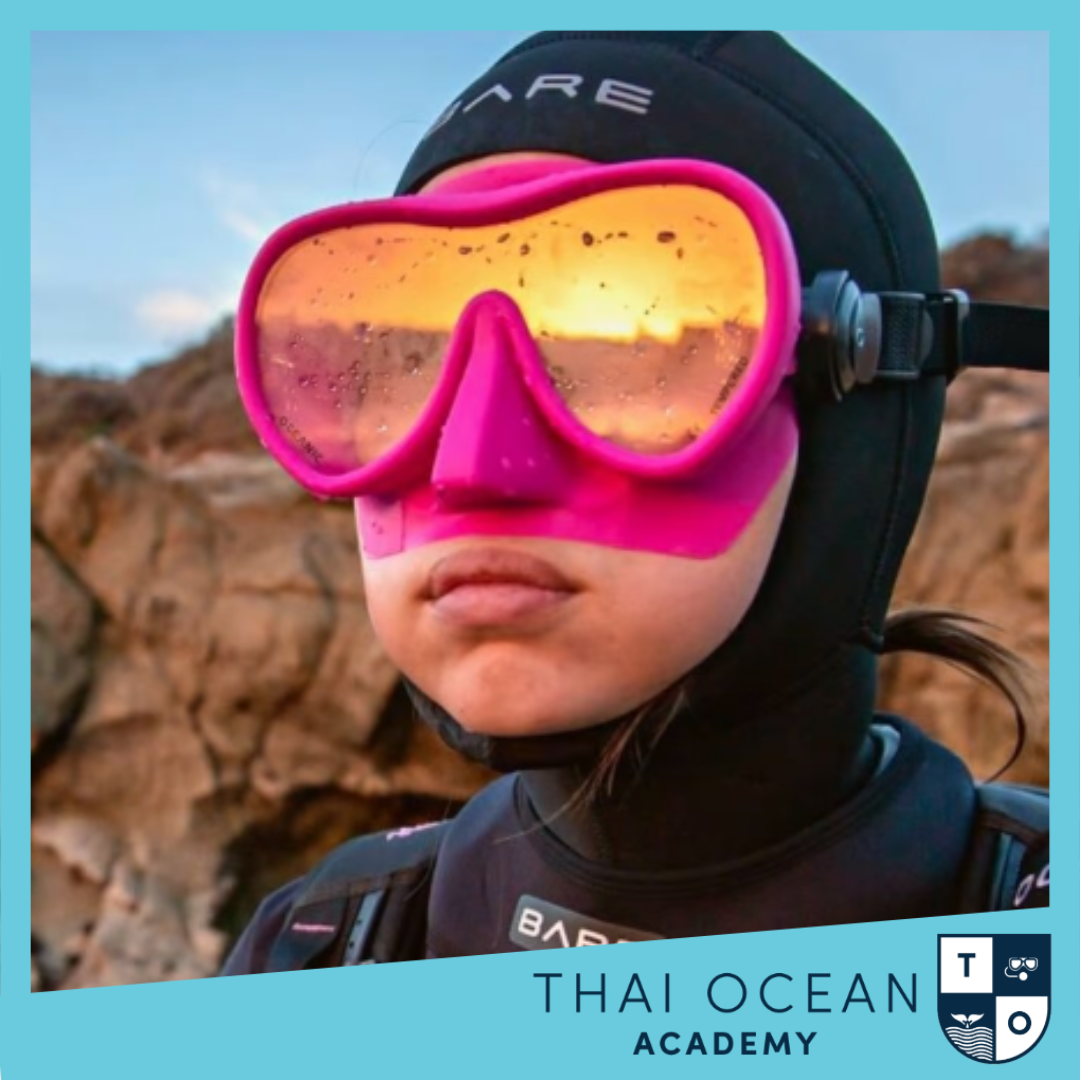 หน้ากากดำน้ำ Oceanic Shadow Mask (Mini) - thaioceanacademy