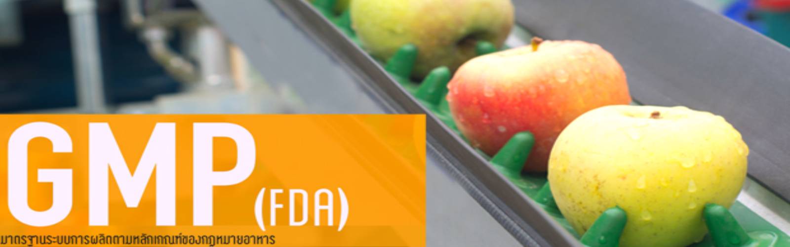 CODEX GMP : ระบบจัดการด้านสุขลักษณะที่ดีในการผลิต - Mscertthai