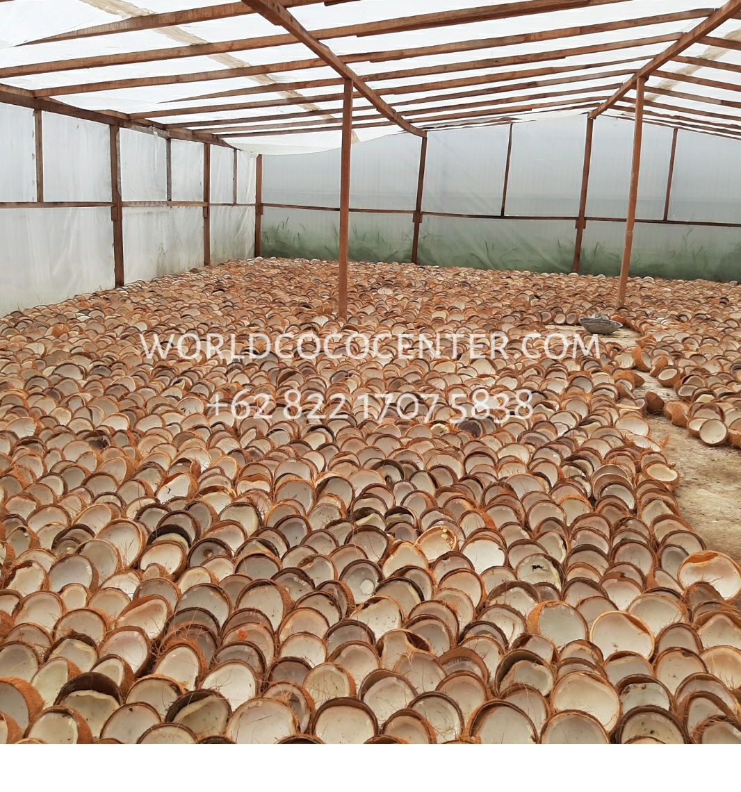 World Coco Center "Leading Coconut Company of Indonesian ...