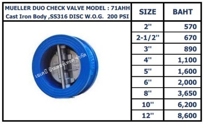 MUELLER DUO CHECK VALVE MODEL : 71AHH - Akbintertrade