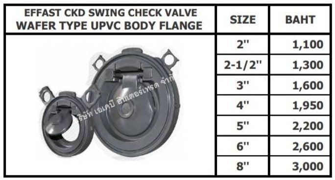 EFFAST CKD SWING CHECK VALVE - Akbintertrade