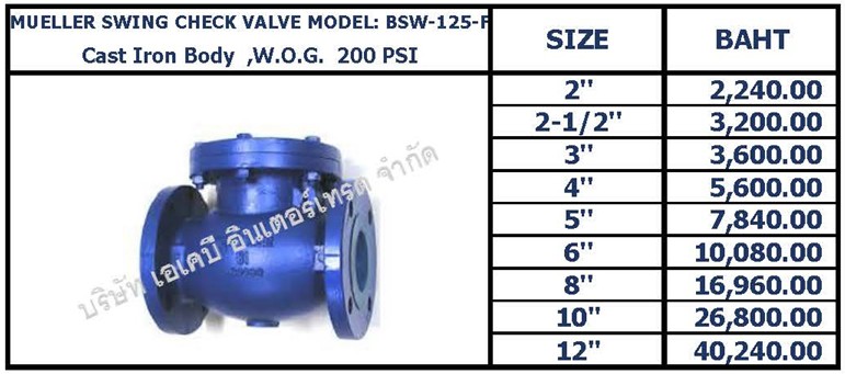 MUELLER SWING CHECK VALVE MODEL: BSW-125-F มีสินค้า - akbintertrade