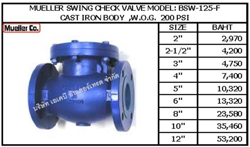 MUELLER SWING CHECK VALVE MODEL: BSW-125-F มีสินค้า - akbintertrade