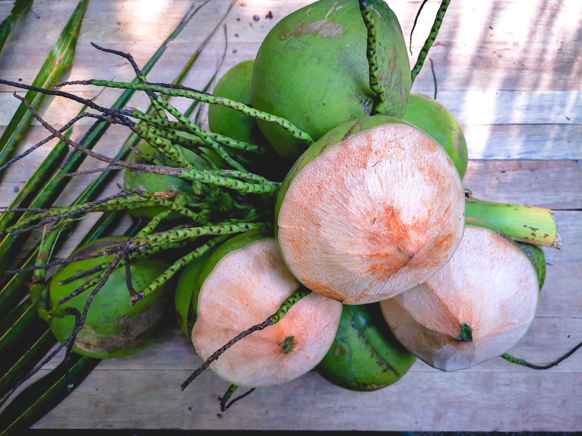 Farm of Nam-Hom Coconut - organthai