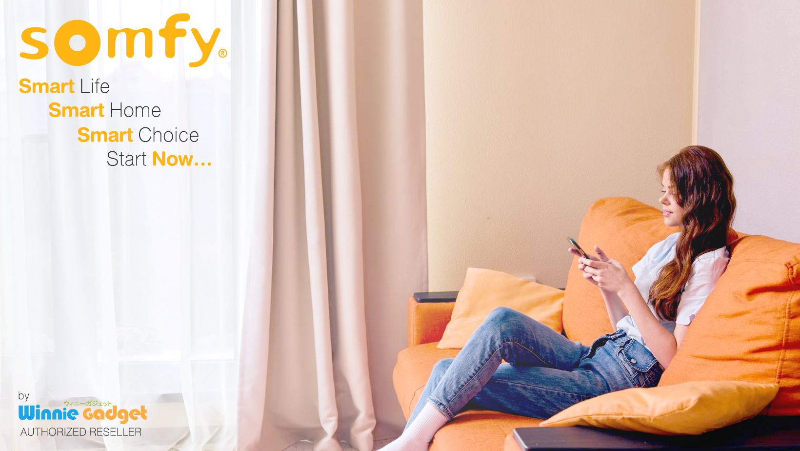 Somfy - winniegadget