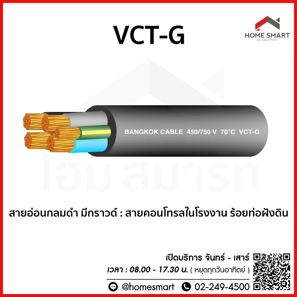 สายไฟ VCT-G BCC - homesmart