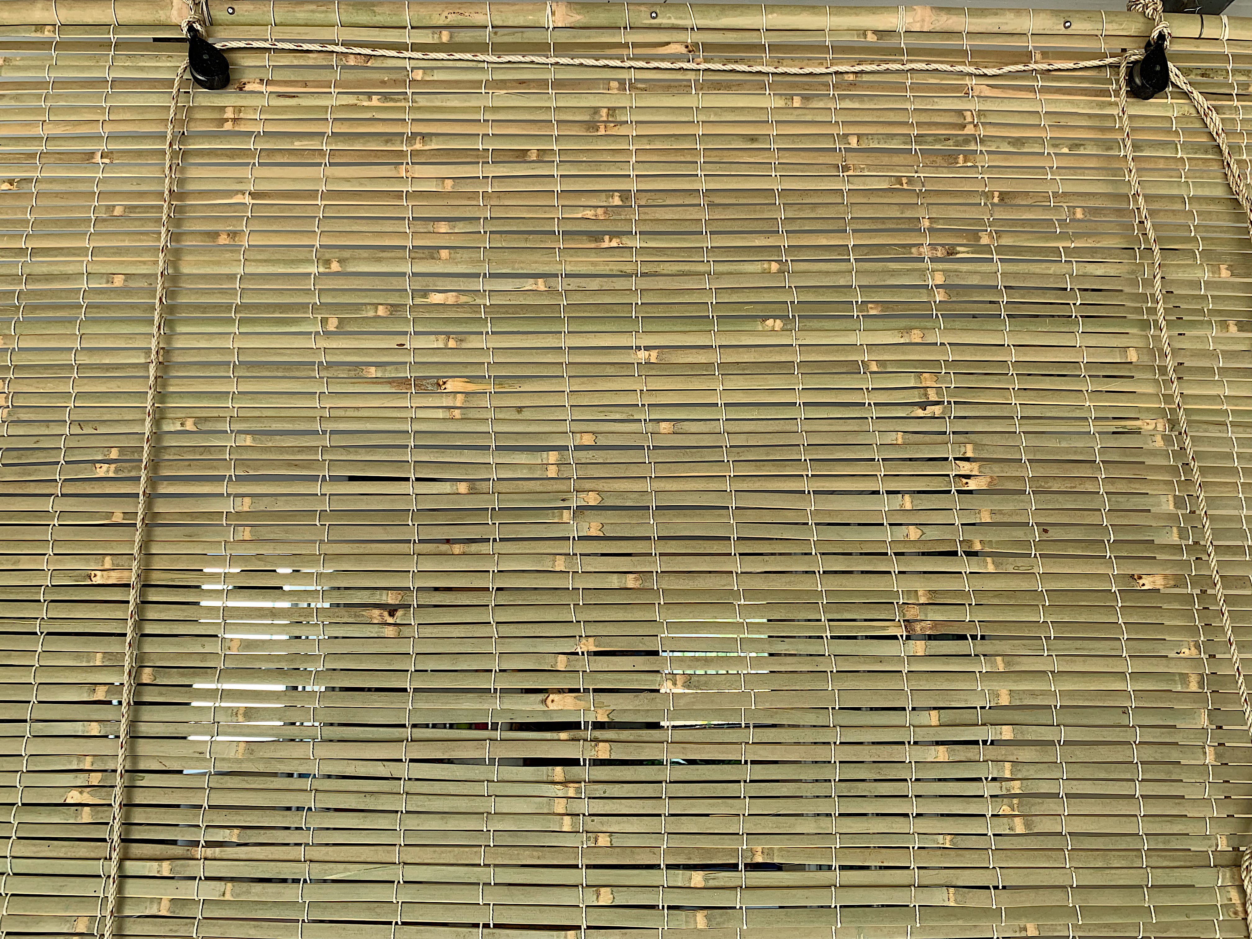 Bamboo Skin Product