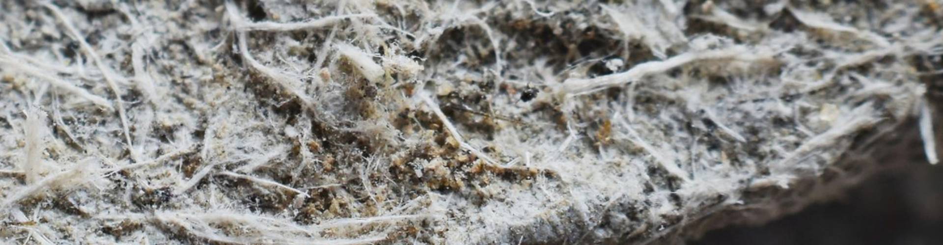 Asbestos Microscopes - siammicroscope