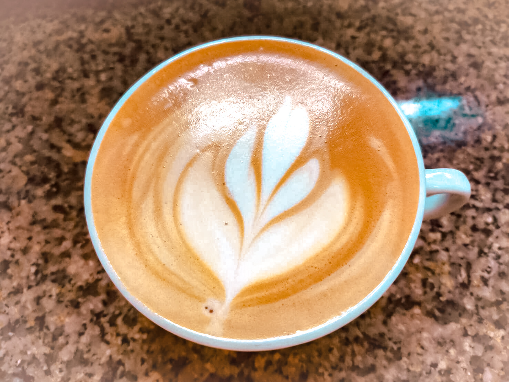 Review Course Basic Barista 20 July 2022 - mistercoffeeshop