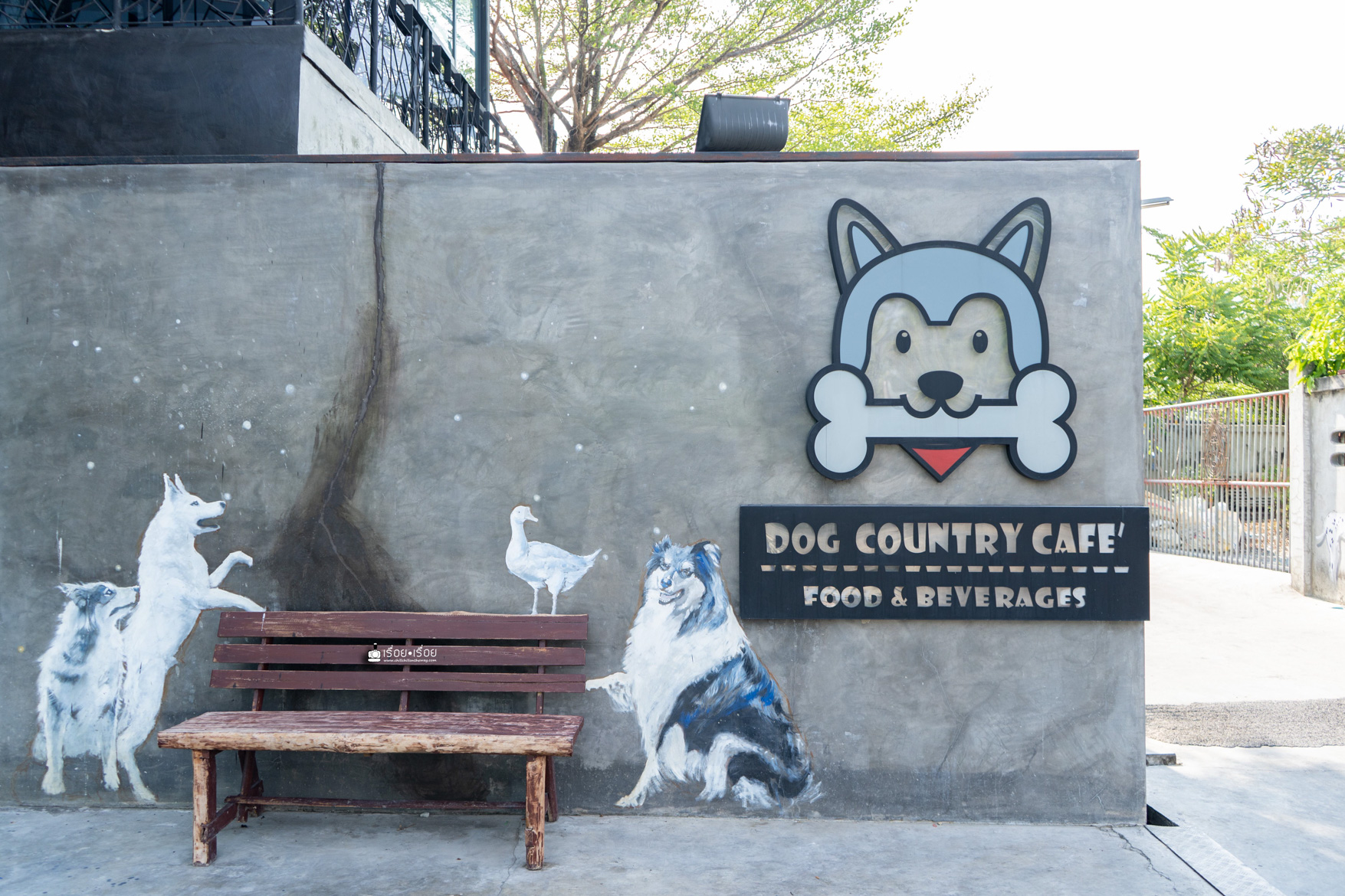 Dog Country Cafe' คาเฟ่น้องหมาที่มีมากกว่า 200 ตัว 30 สายพันธ์ุ เล่นได้ ...