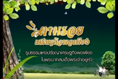 Knowledge - interprofile