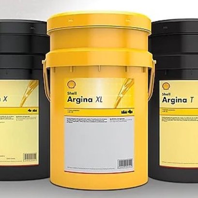 Shell Argina and Gadina - thaibearingtech01