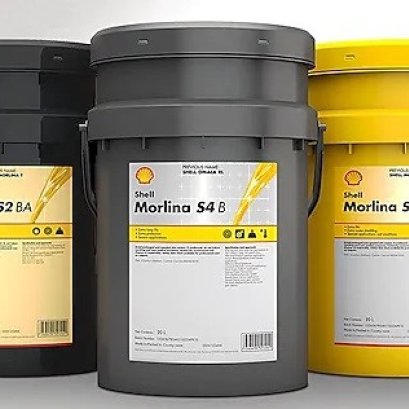 Shell Morlina - thaibearingtech01