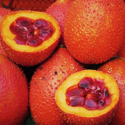 BP BIOTECH บริการรับผลิตอาหารเสริมในแบรนด์ของคุณ