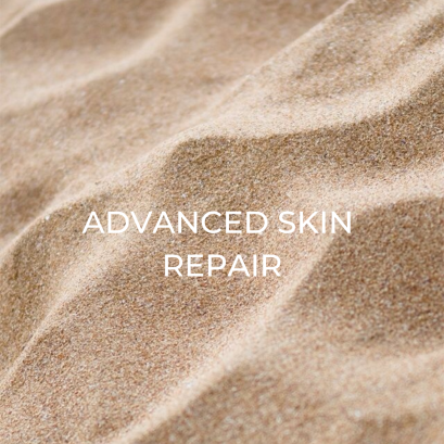 issbangkok - issbangkok