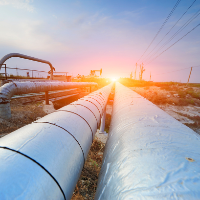 PIGS PIPELINE - Leading Pipeline Pigging Products Manufacturers