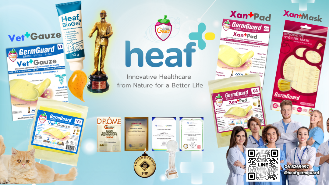 Heaf-GermGuard Official Store : รักษาแผลด้วยแซนโทนจากมังคุด