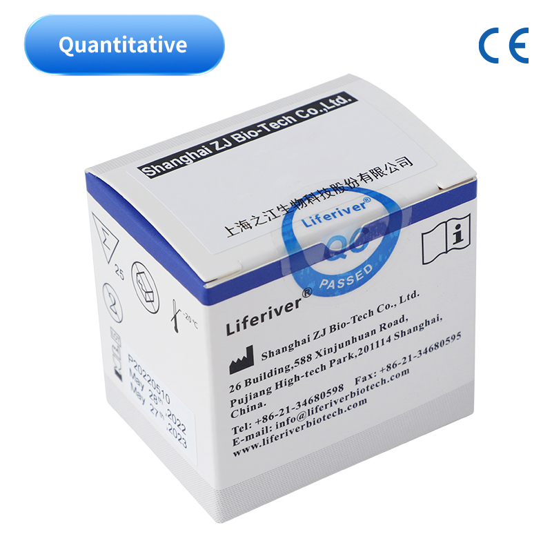 EBV Real Time PCR Kit