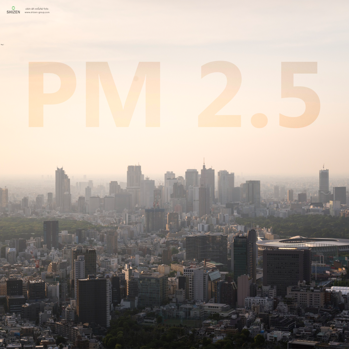 การแก้ไขปัญหาฝุ่น PM 2.5