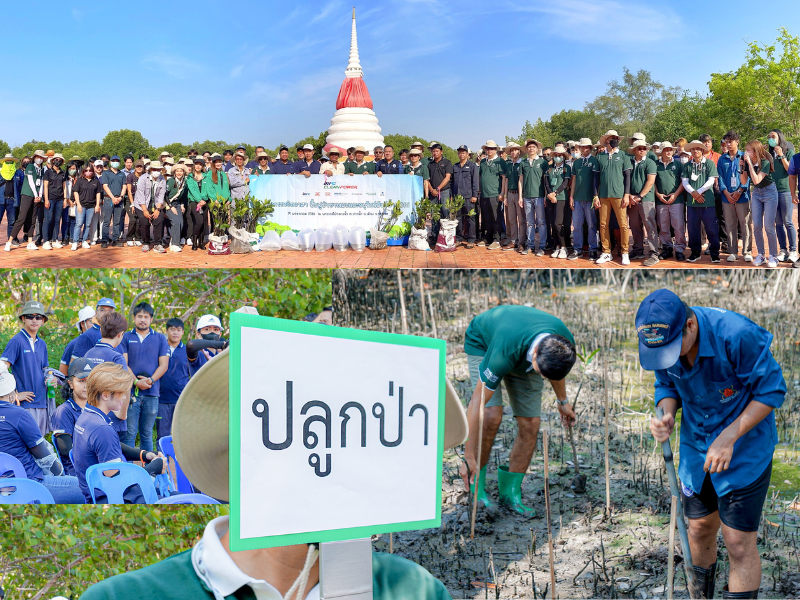 โครงการ "จิตอาสาฟื้นฟูป่าและอนุรักษ์สัตว์น้ำ" กับ IRPC Clean Power