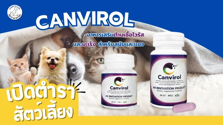 Canvirol วัคซีนจากธรรมชาติสำหรับแมวและสุนัข มาแรง!