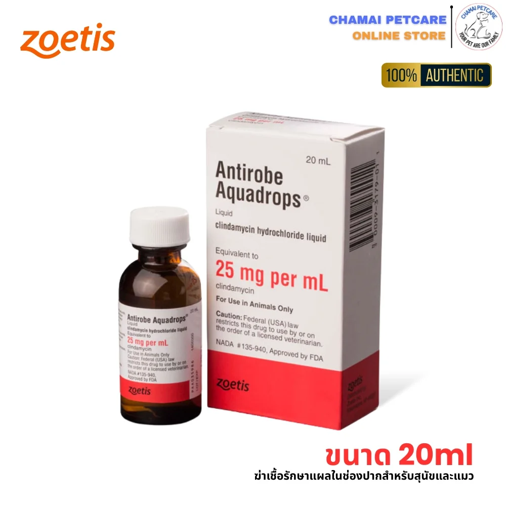 Antirobe Aquadrop | ยารักษาแผลในช่องปาก สำหรับสุนัขและแมว
