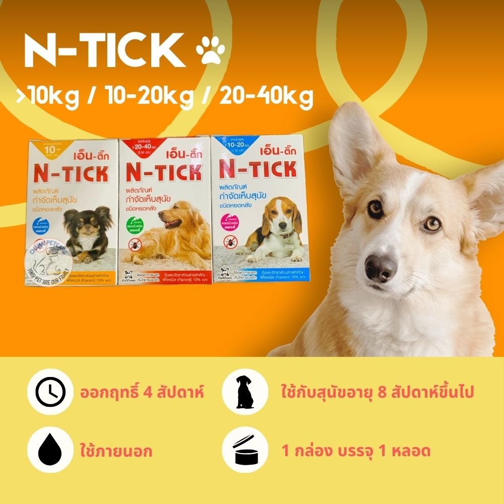 N-Tick | ยากำจัดและป้องกันเห็บหมัด สำหรับสุนัข