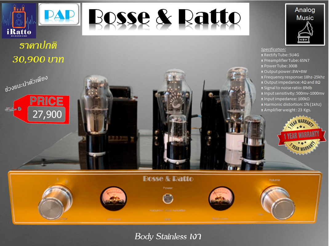 Integrated Amplifier 300B Stainless