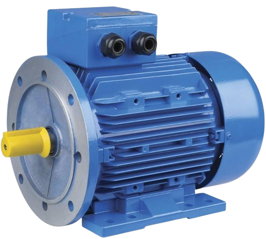 INLINE MOTOR (B35) 1-100 HP 2,4 POLE