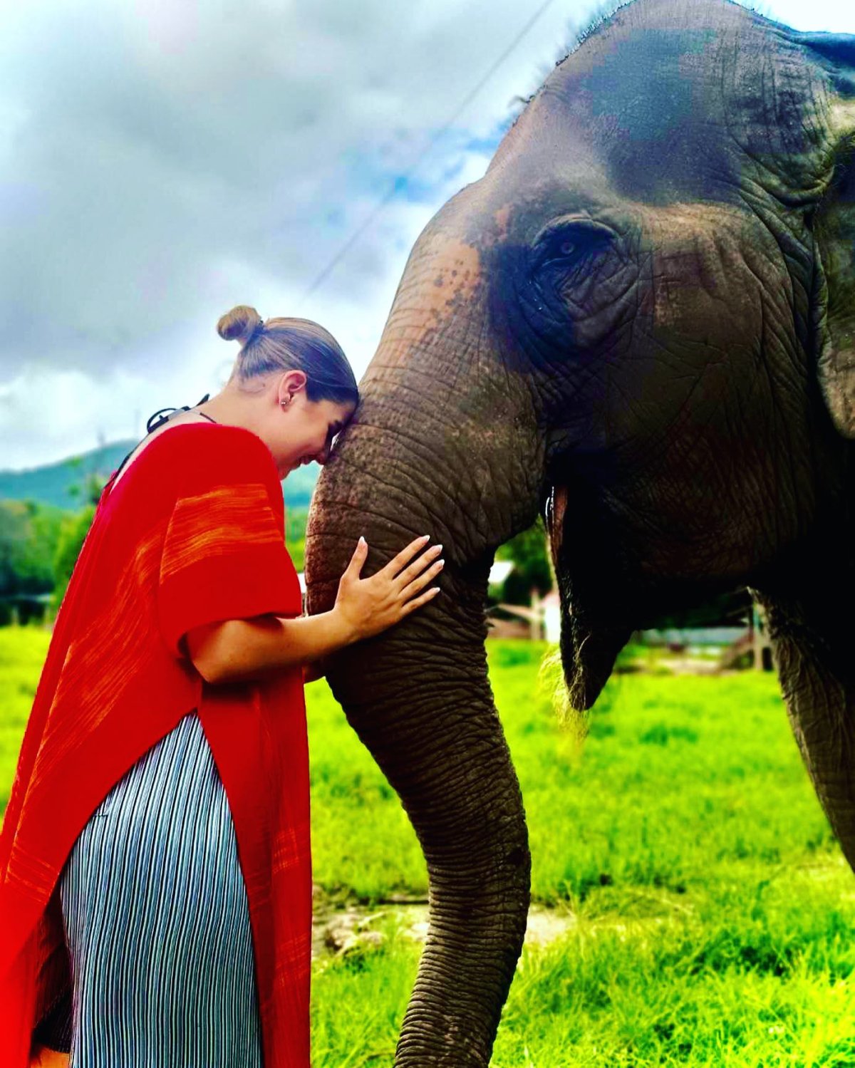 Elephants communicate using a wide range of vocalizations, including ...