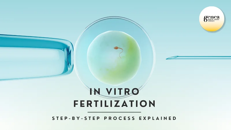In Vitro Fertilization (IVF): Step-by-Step Process Explained