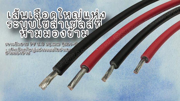 สาย PV 6.0 sq.mm แดง-ดำ สำคัญอย่างไร? คู่มือเจาะลึกสำหรับระบบโซล่าเซลล์