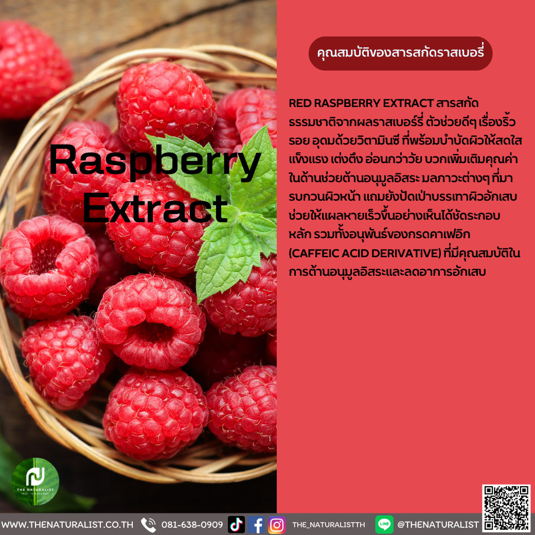 สารสกัดราสเบอรี่ - Raspberry Extract - thenaturalist