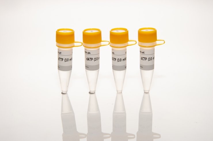 dNTP set (dGTP, dATP, dTTP, dCTP, 10 mM) - smartscience