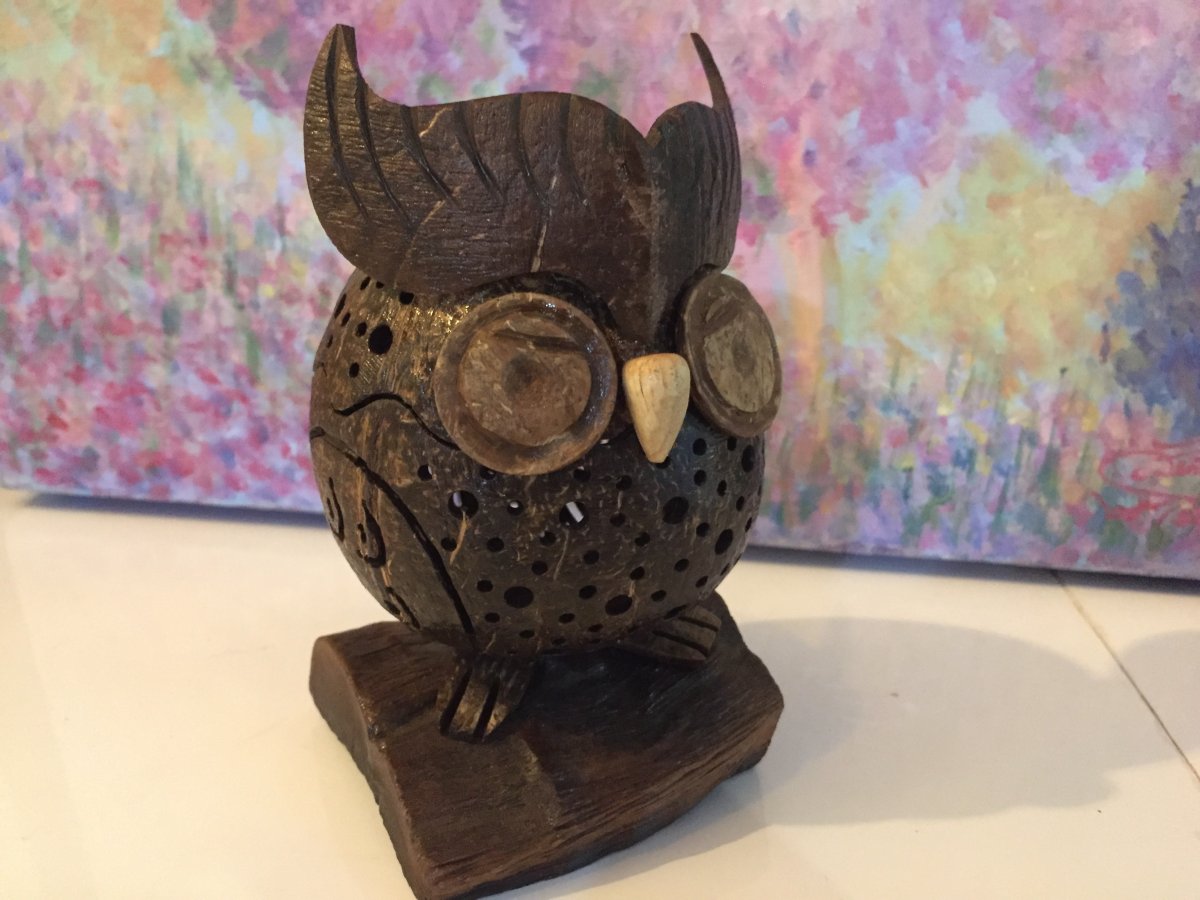 Casket from coconut shell - Owl - pickacraft