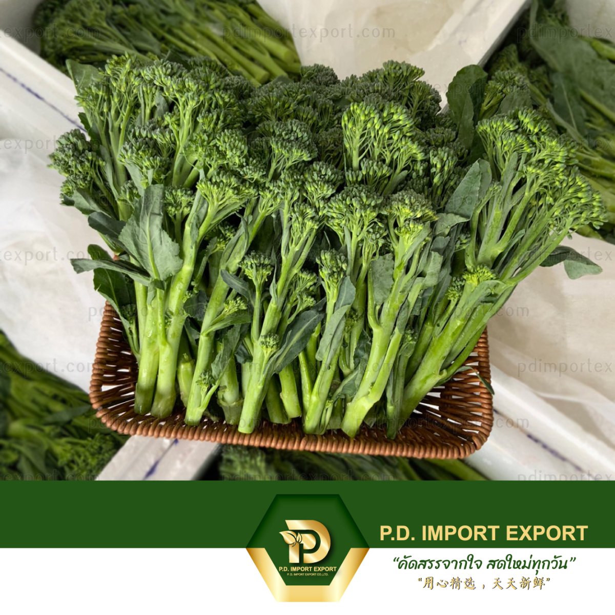 เบบี้บล็อค / เบบี้บล็อคโคลี (Broccolini / Baby Broccoli)