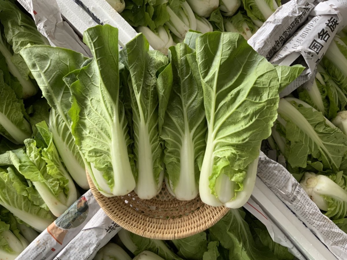 Sweet Bok Choy