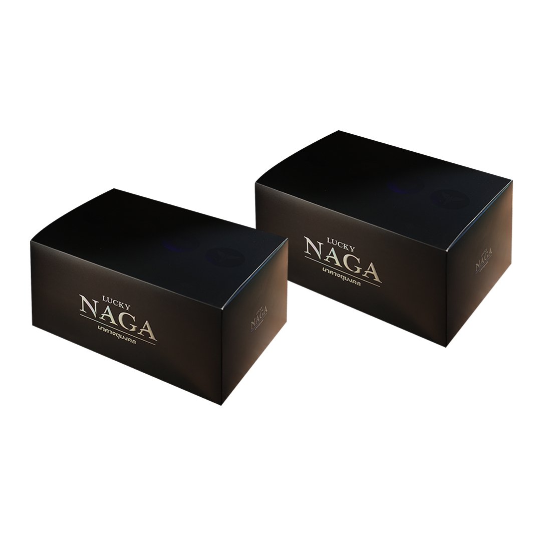 เซ็ตคู่ ยก BOX 2 ชุด -- อาร์ตทอย ชุด LUCKY NAGA แบบยก BOX จำนวน 2 ชุด