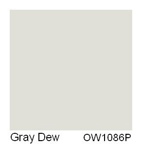 Nippon Paint ColorShield - kyipaint