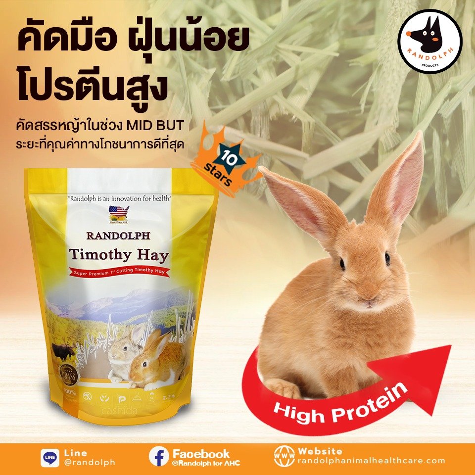 Randolph-Timothy Super Premium 1st cut คัดมือ ฝุ่นน้อย - epofclinic