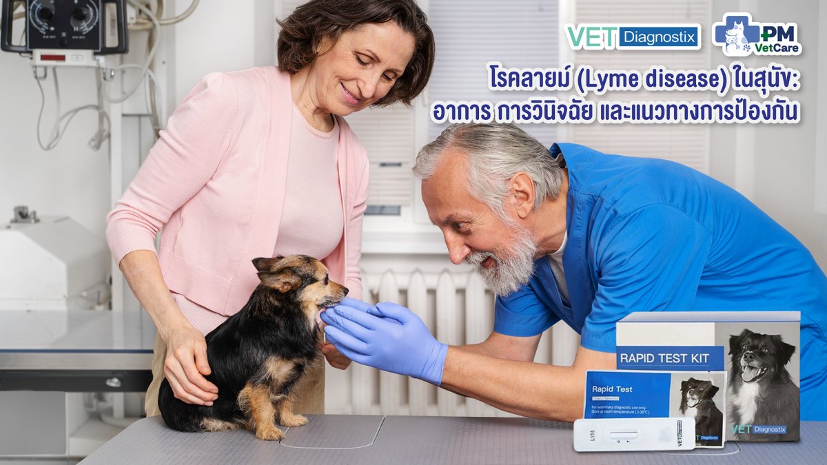 Overview of Bacterial Respiratory Infections in Dogs and Cats(copy)