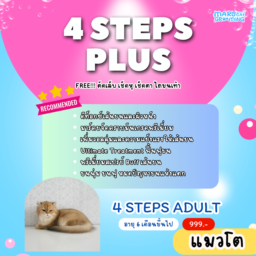 โปรแกรมอาบน้ำแมว 4STEPS ขจัดคราบมัน บำรุงขน ใกล้รามอินทรา