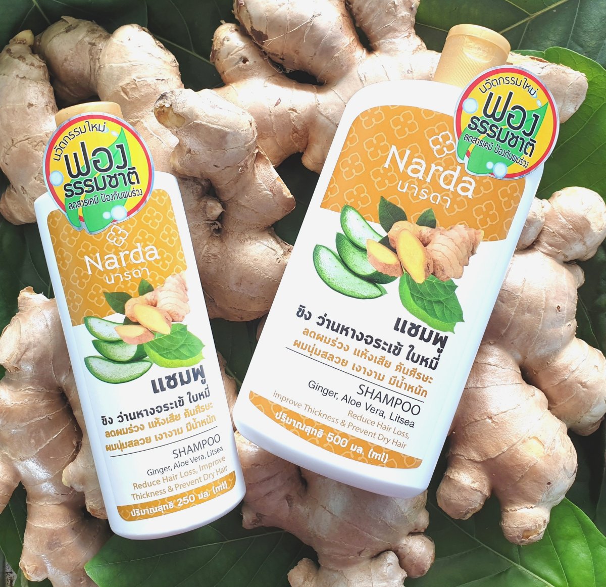 Narda Shampoo & Conditioner